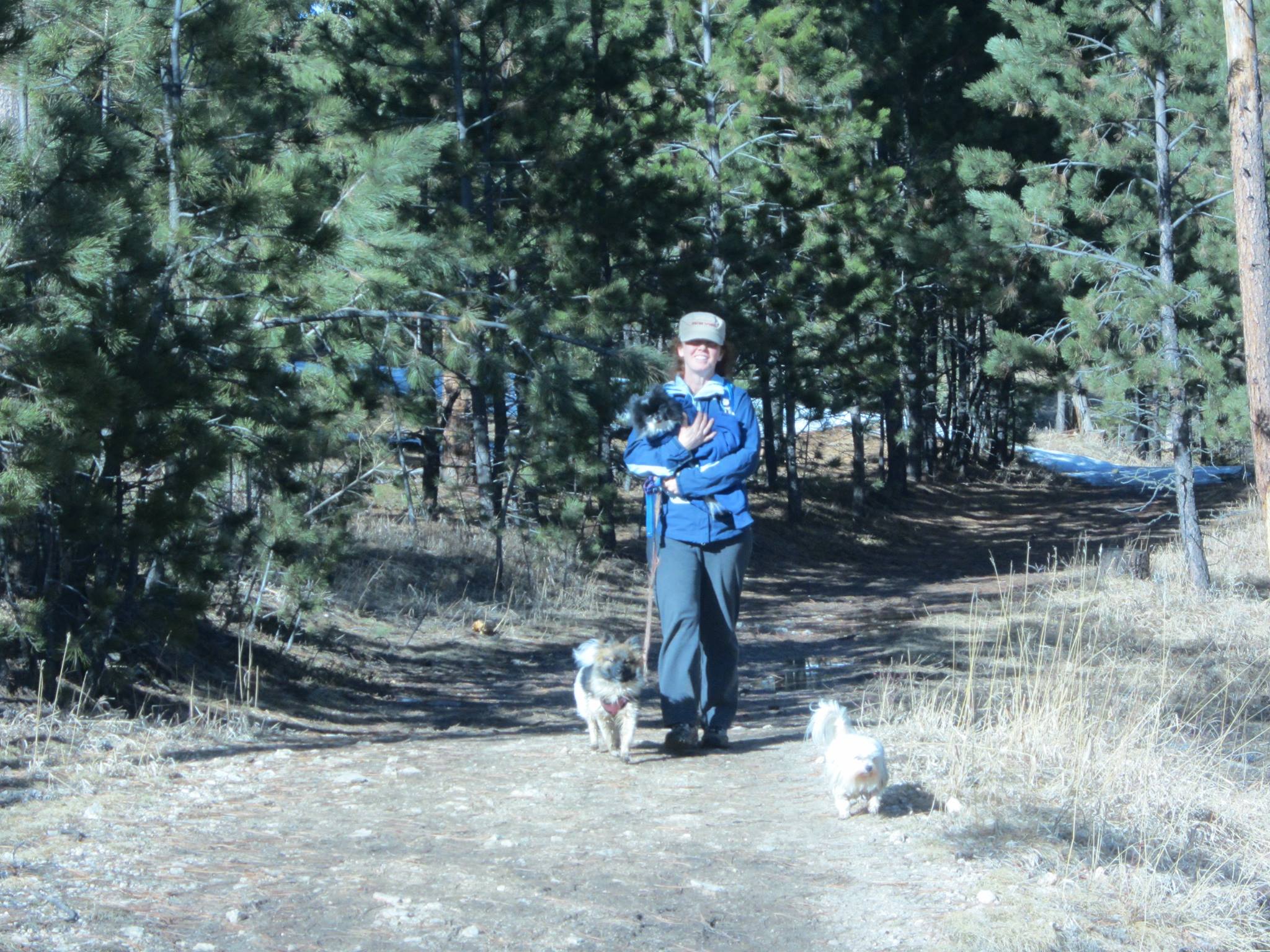 Hike early Spring – Dachia